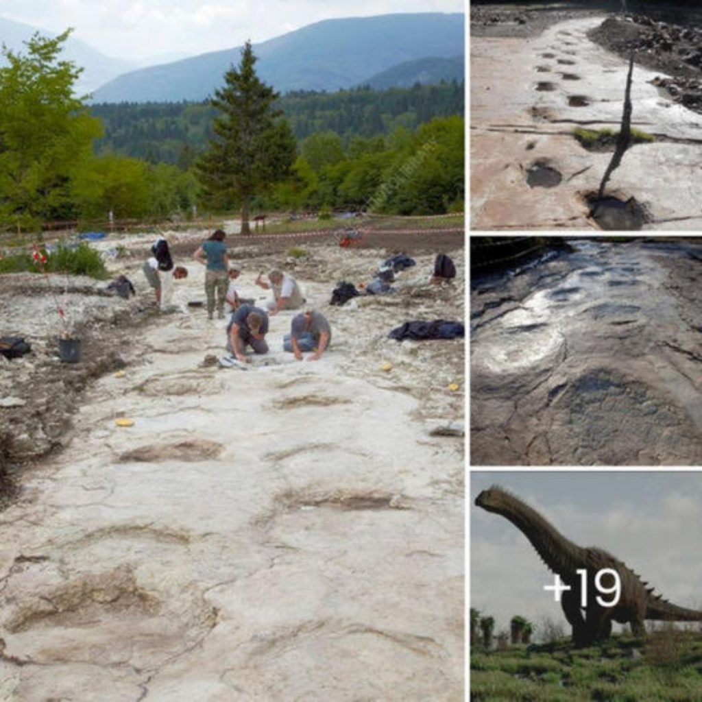 Unveiling Giants: World’s Longest Dinosaur Trackway Unearthed, Tracing ...