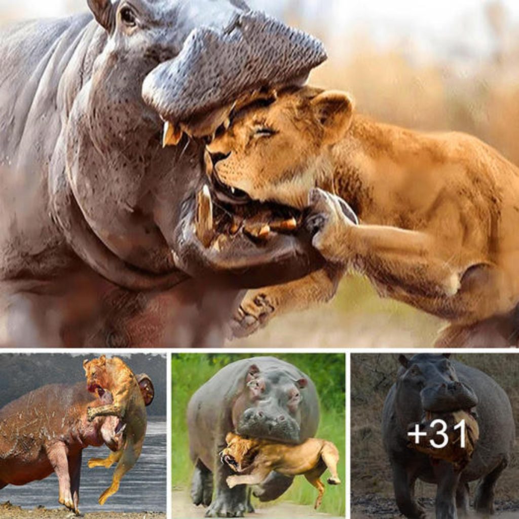 Ancient Egypt’s Hidden Giants: Mysterious 4,700-Year-Old Remains of ...