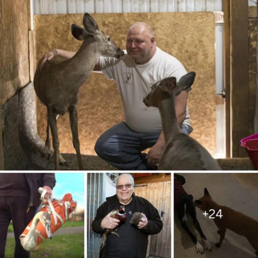 Enigmatic Discovery: Scientists Analyze ‘Humanoid Creature’ Amid ...