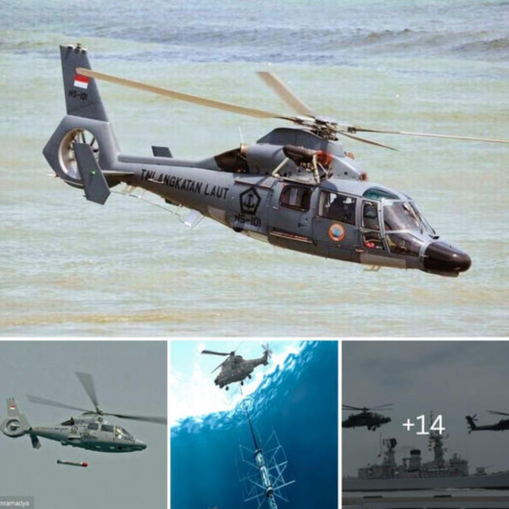 Heart-Stopping Moment: Otter Escapes Orca by Leaping Onto a Boat ...