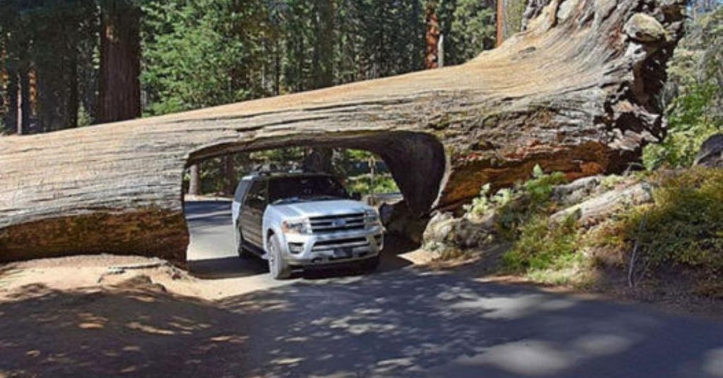 Unbelievable? A Metallic Orb Over SRQ Airport Sparks Daytime UFO ...