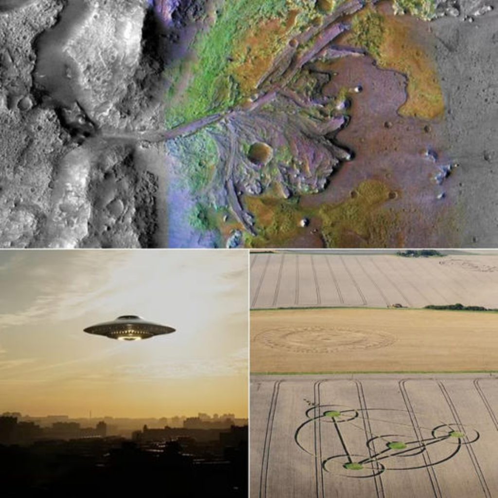 Renowned British astronomer admits possibility of alien life but ...