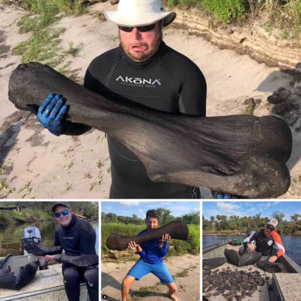 Divers find bones of giant ice age mammoth from 39 million years ago in ...
