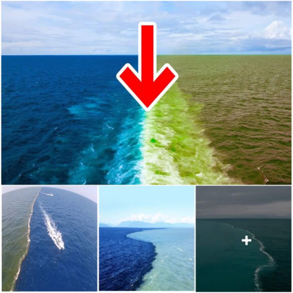 Why The Atlantic And Pacific Meet, But Never Mix – Media News 48