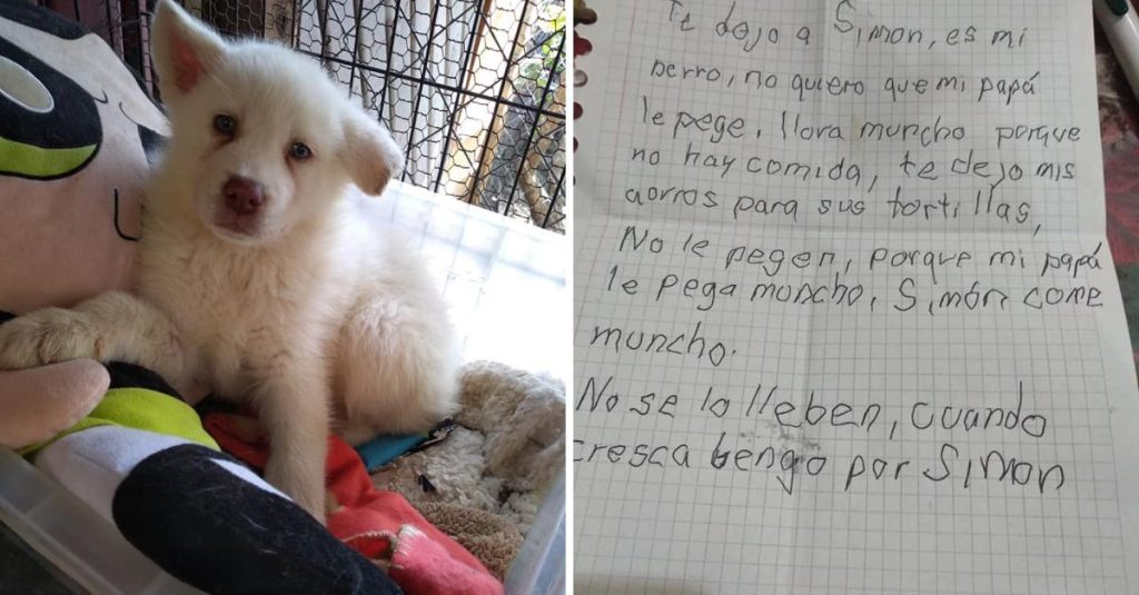Con la mirada triste de aquel adiós, el perrito creció rodeado de amor ...