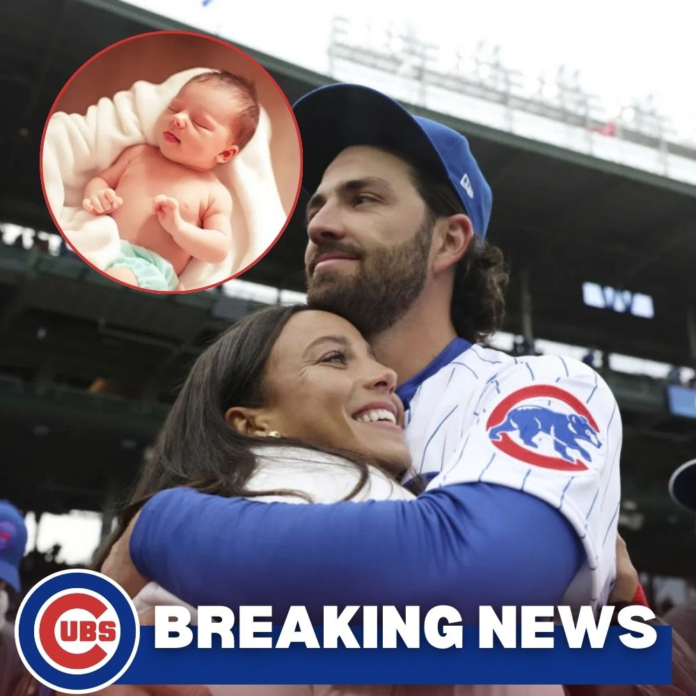 CUBS GET ANOTHER MEMBER: DANSBY SWANSON ‘PANIC’ IN HOSPITAL ROOM ...