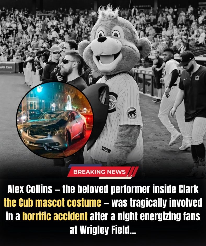 SAD NEWS: Alex Collins — the beloved performer inside Clark the Cub ...